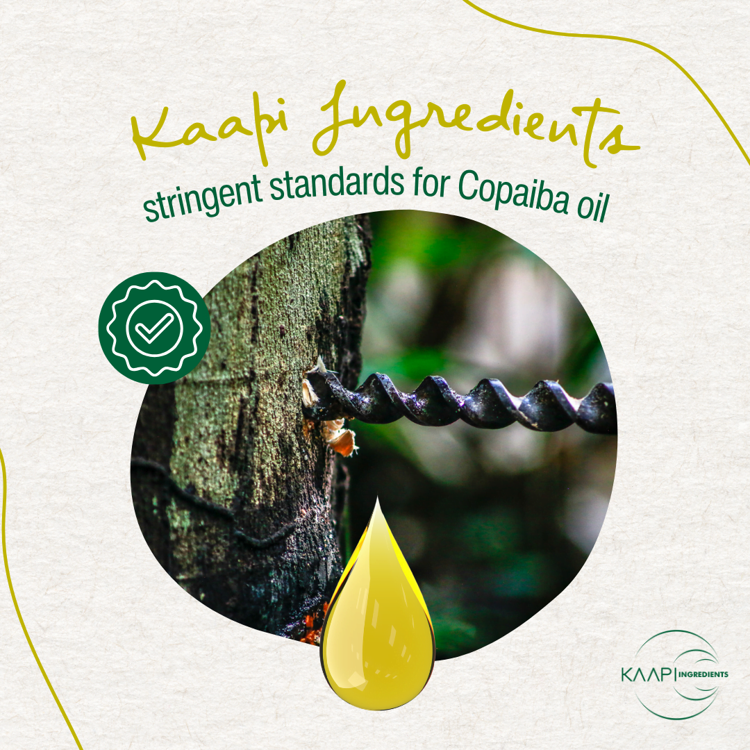 What Factors Influence The Quality Of Copaiba Oil? | Kaapi Ingredients
